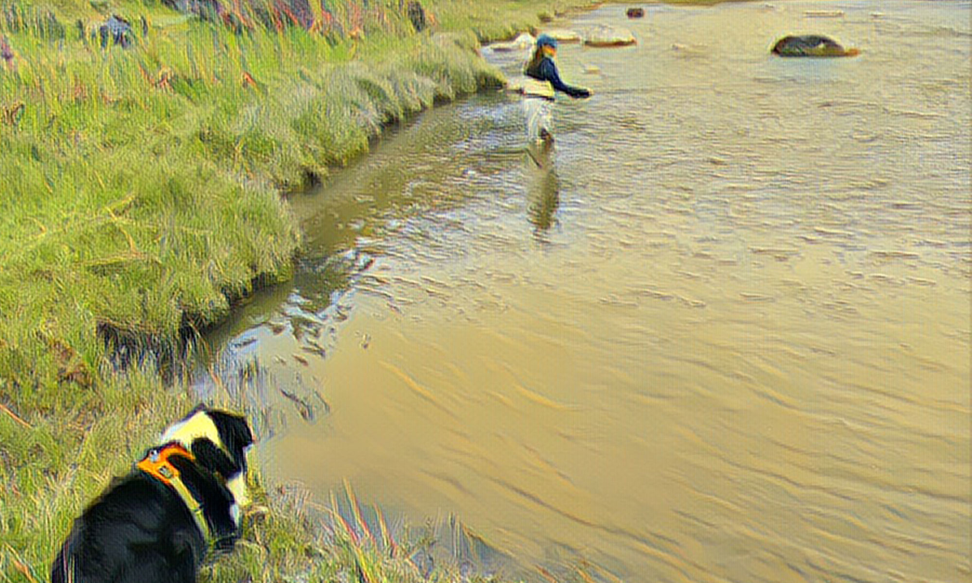 Learning a Polish fishing technique