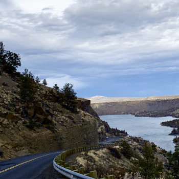 palisades road