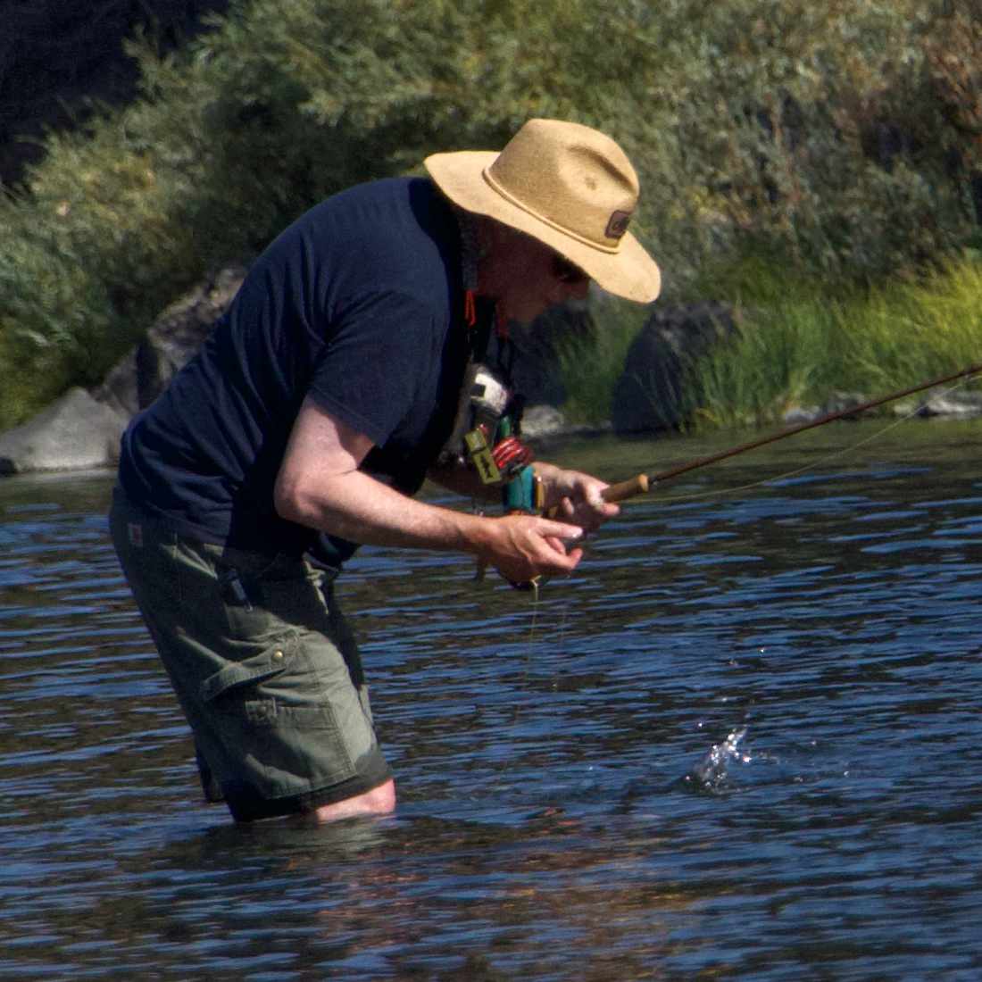 jack med cu sq fish