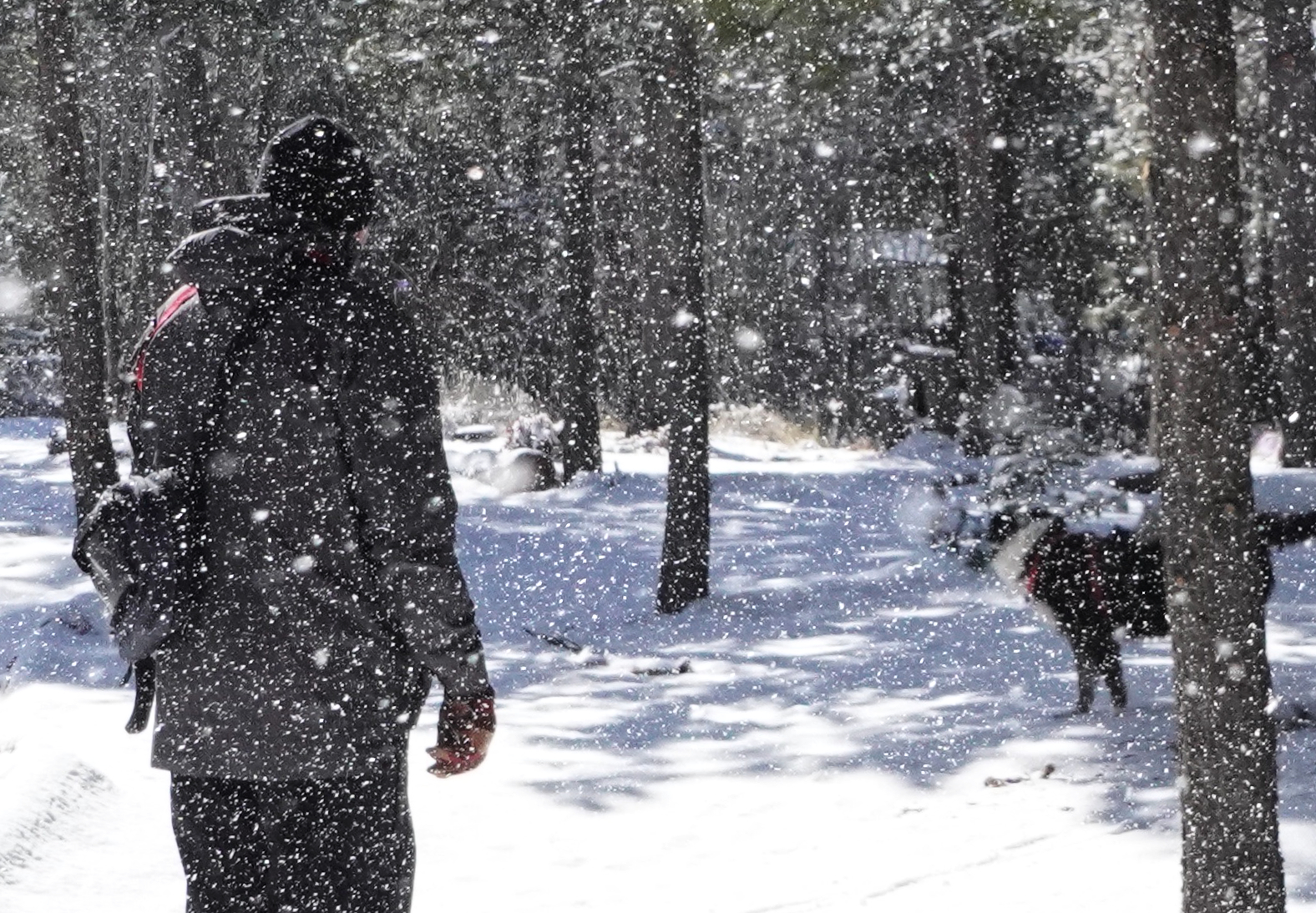 The Snows of March